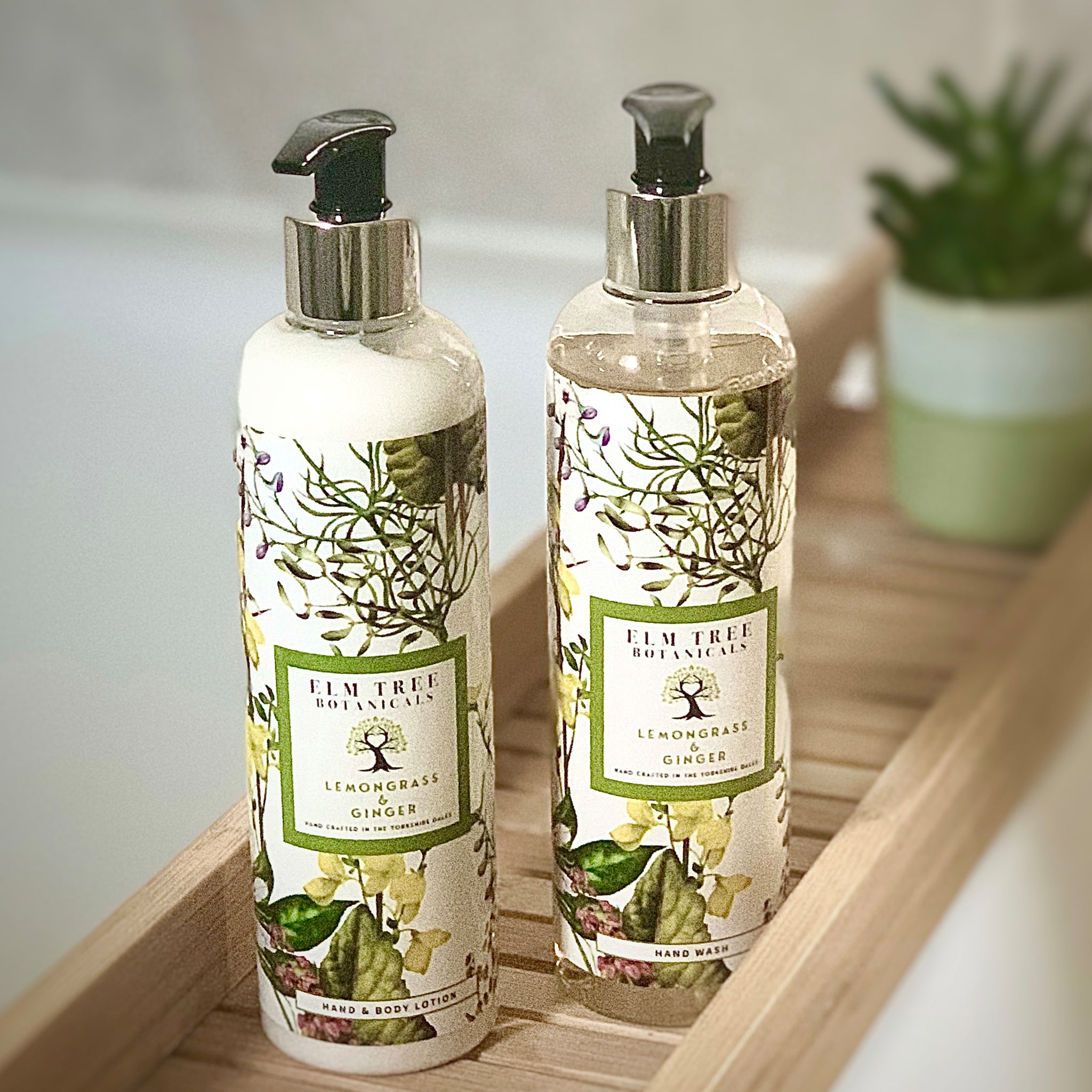 HAND & BODY – Elm Tree Botanicals